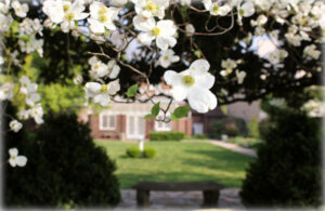 Cunningham Garden - The Brown-Pusey House